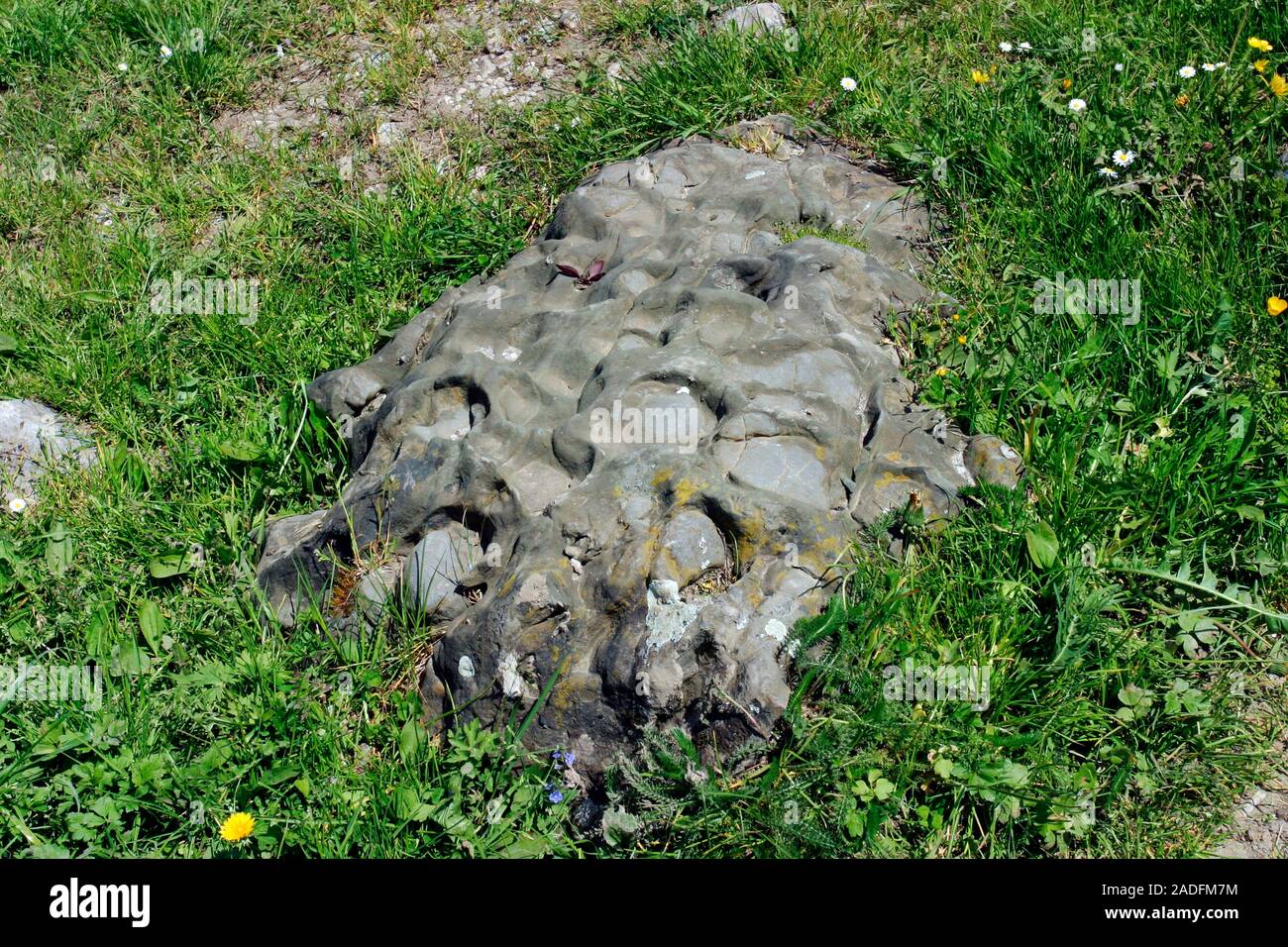 Eroded limestone rock. The erosion on the surface of this exposed rock ...