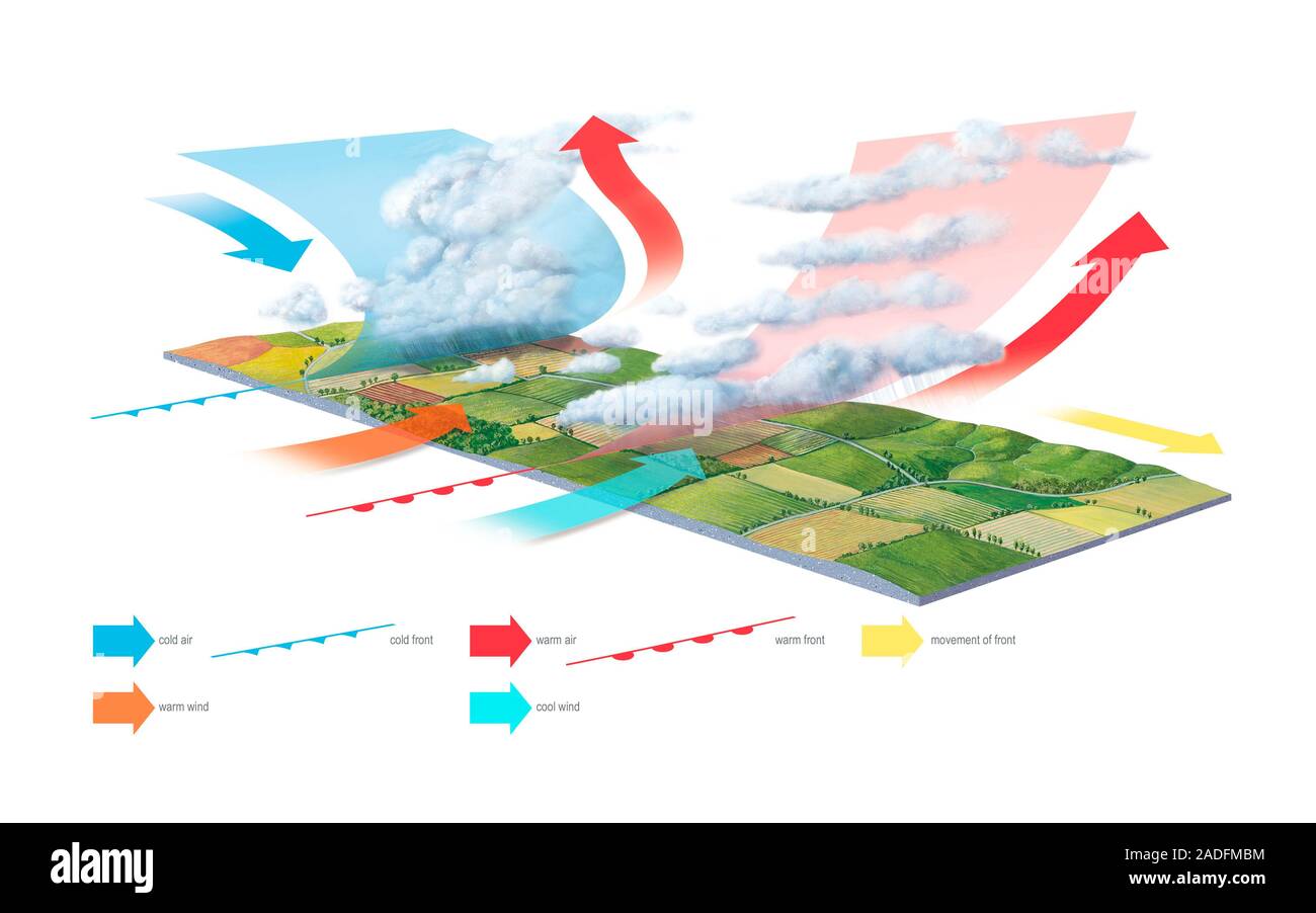 Weather fronts. Computer artwork of cold and warm weather fronts. A ...