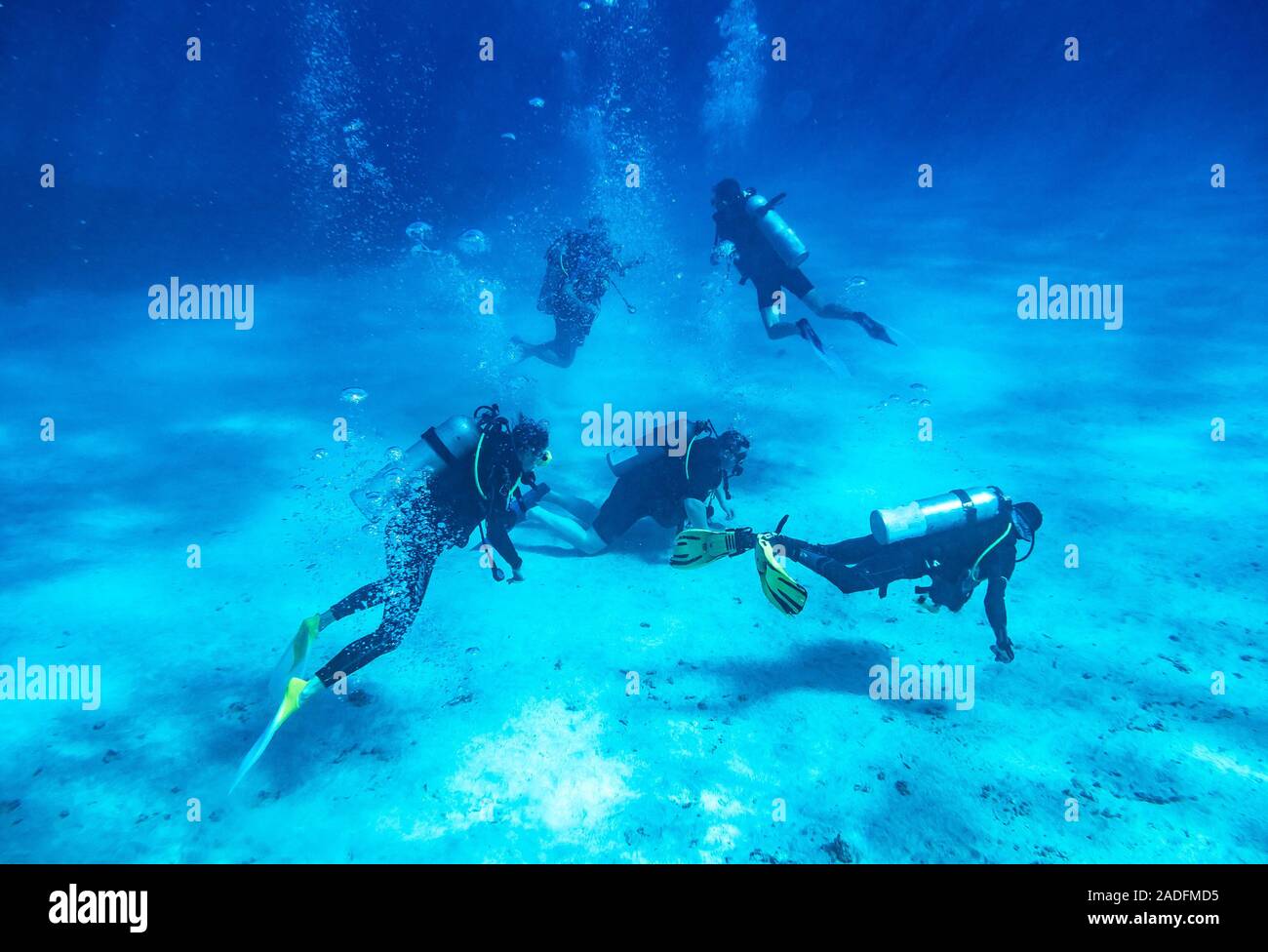 Scuba Diving explore the Red Sea, Egypt Stock Photo - Alamy