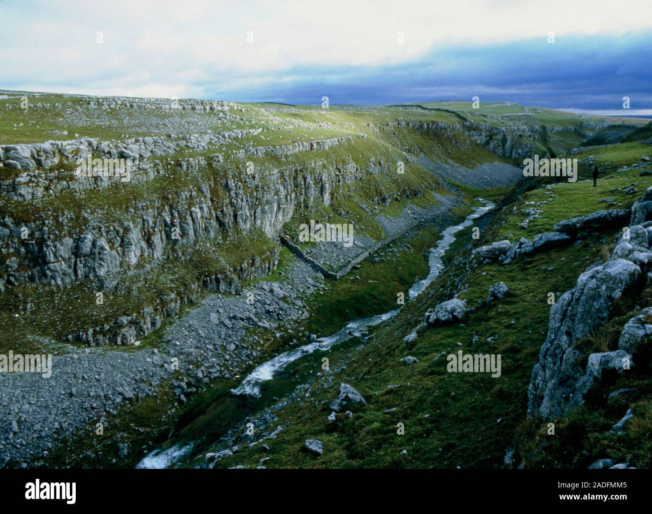 Gordale Scar near Malham, Yorkshire, showing the limestone gorge and ...