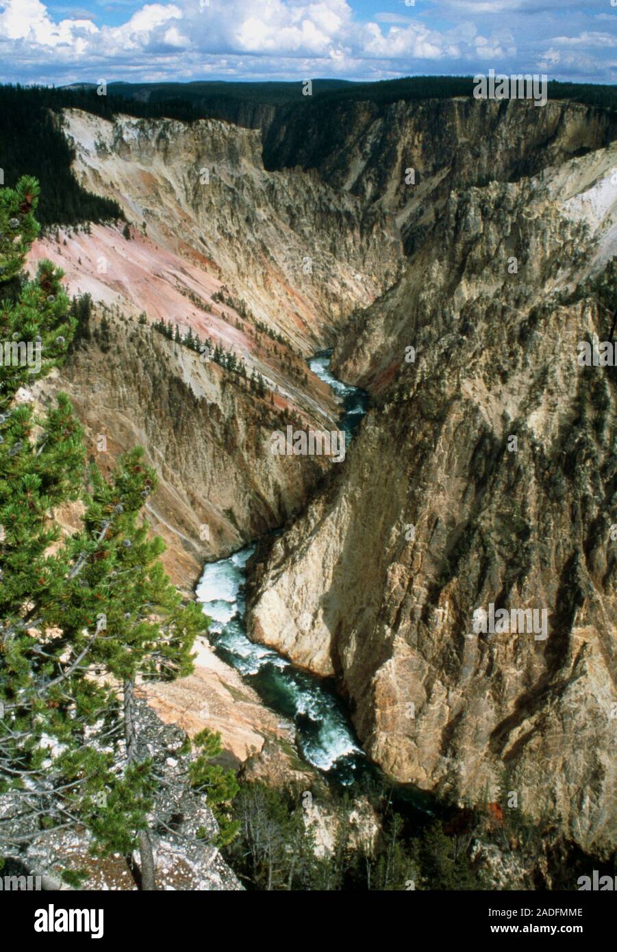 Grand Canyon of the Yellowstone River. View of the Grand Canyon of the ...