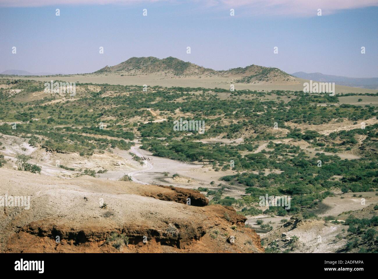 Olduvai Gorge, Great Rift Valley, Serengeti Plains, Tanzania, Africa ...