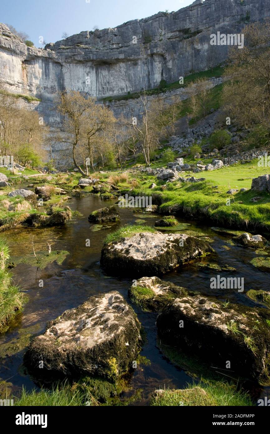 Malham Cove, Yorkshire Dales National Park, England. This curving ...