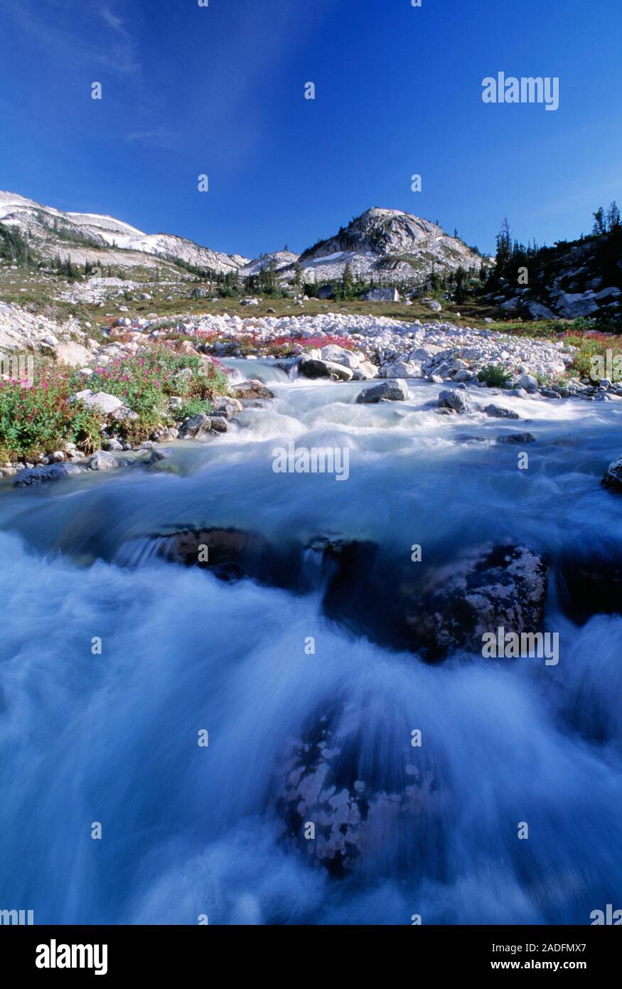 Rapids. Mountain stream flowing over rocky rapids featuring small ...