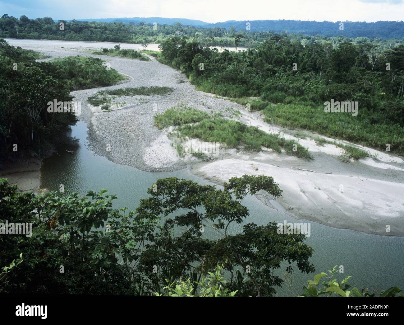 Napo River. Channel of the Napo River with sandbanks along one side ...
