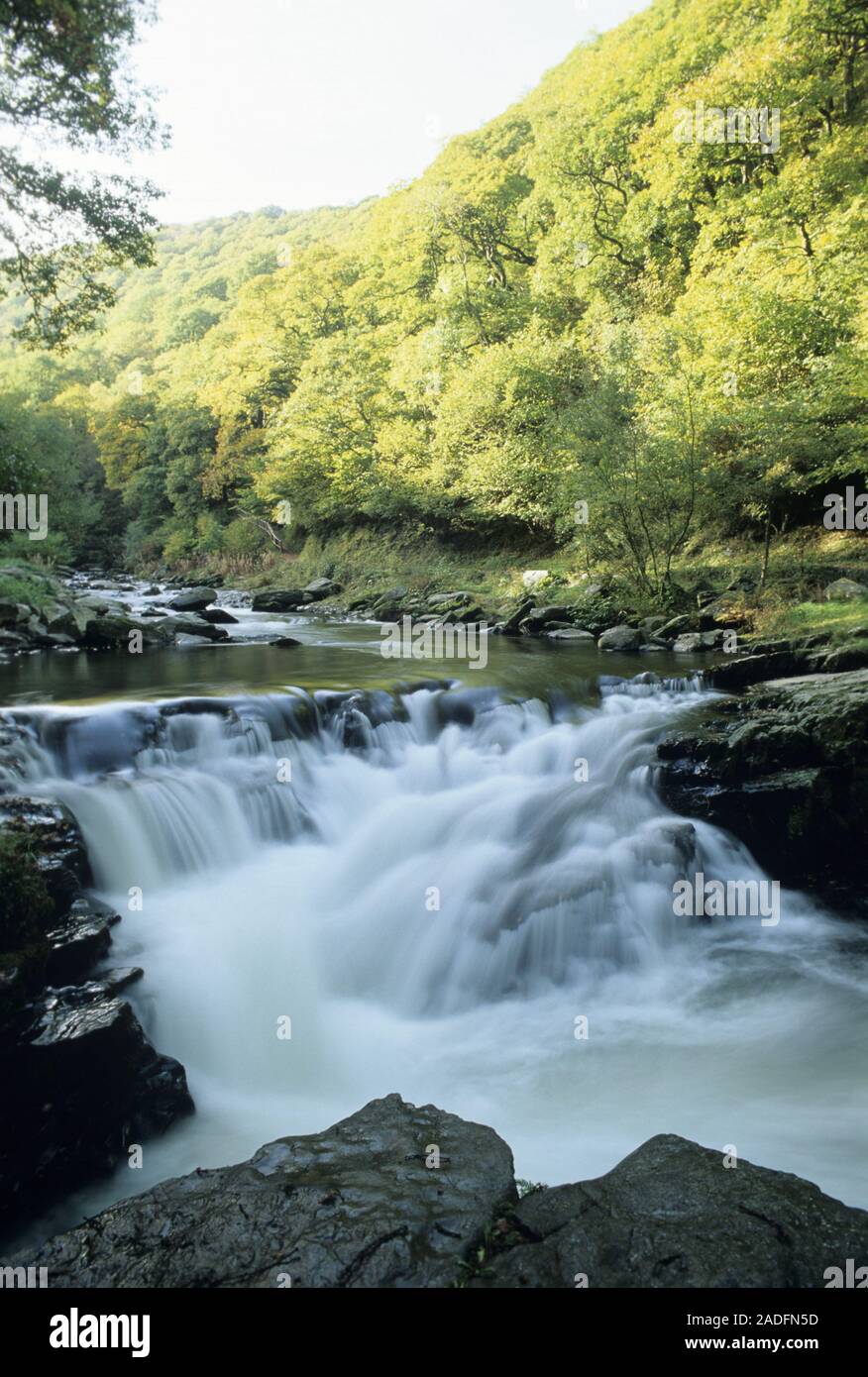 Waterfall in woodland. Photographed in Devon, UK Stock Photo - Alamy