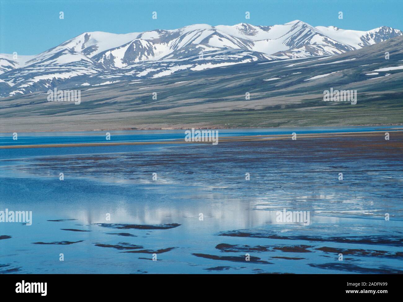 Arctic tidal inlet. The Rudi Bugt inlet is a haven for wading birds at ...