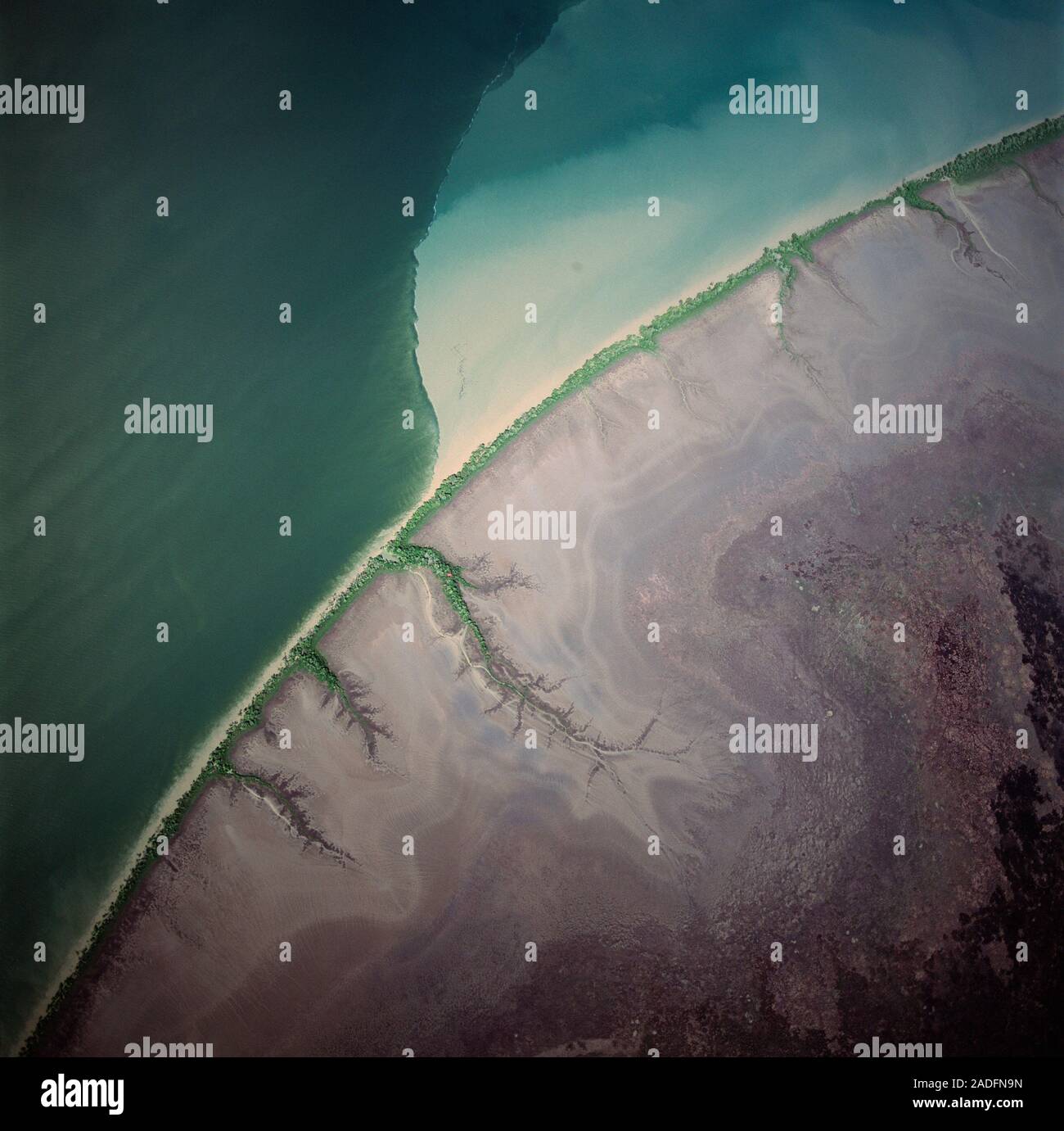Estuarine water. Aerial photograph of the Alligator River Delta in ...