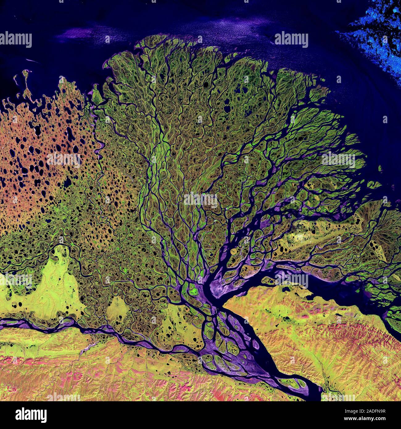 Lena River Delta, Russia, satellite image. This is the mouth of the ...