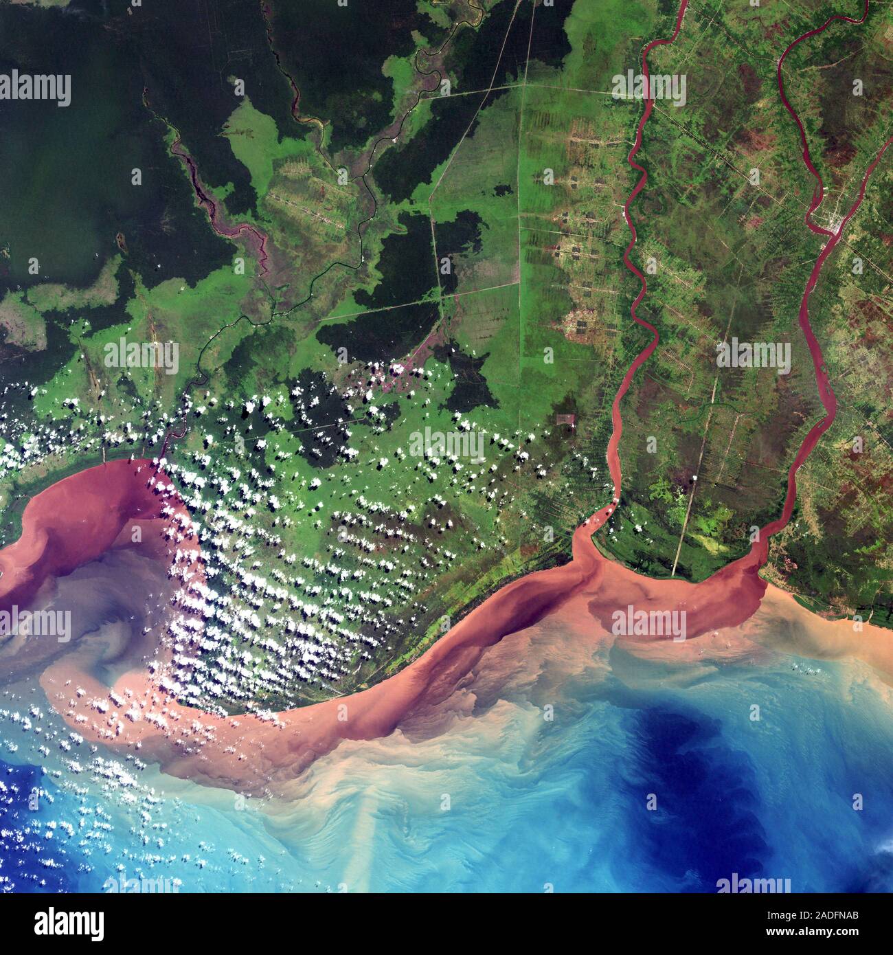 River deltas in Borneo, satellite image. North is at top. Three rivers ...
