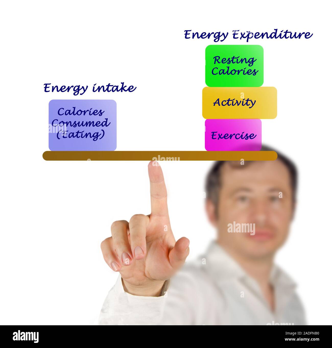 Balance between Energy intake and Energy expenditure Stock Photo - Alamy