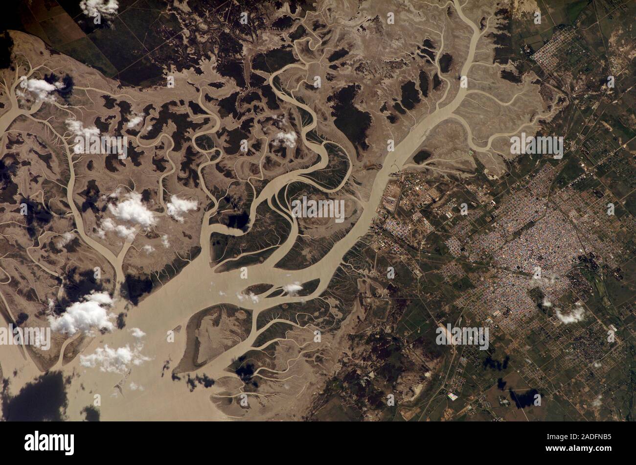 Bahia Blanca estuary, satellite image. North is at right. Vegetation is ...