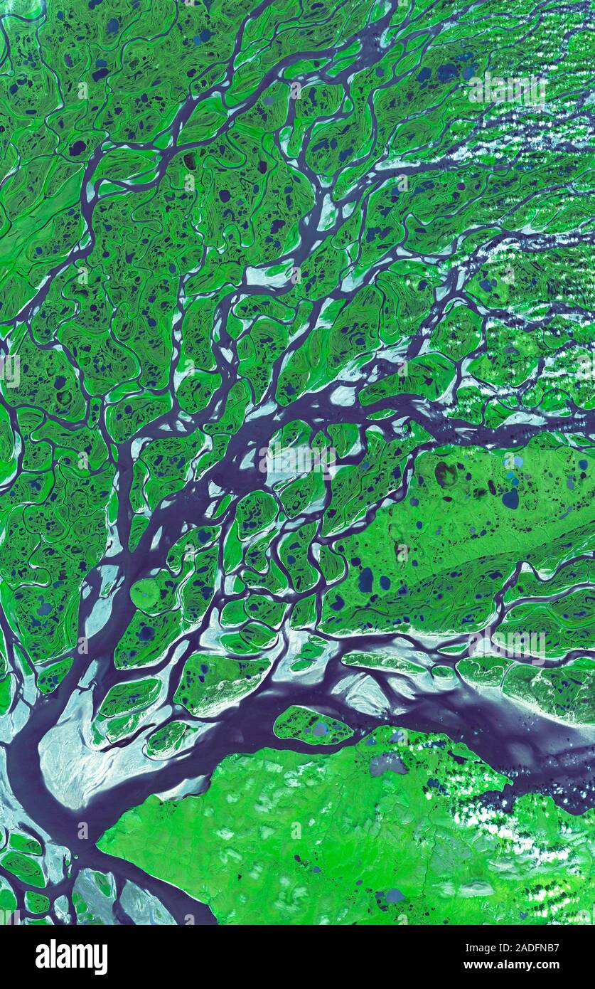 Lena River Delta. Satellite image of part of the delta of the Lena ...