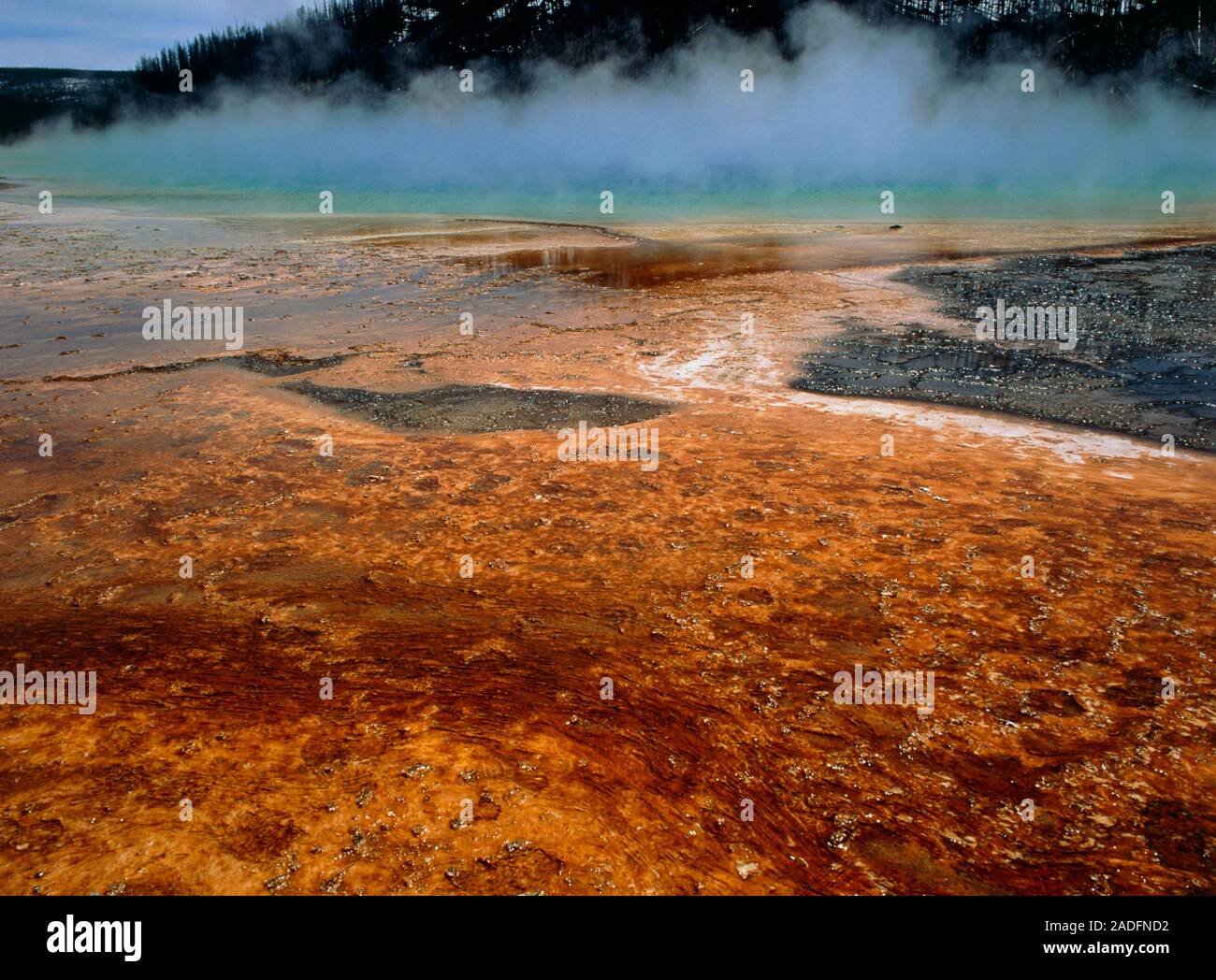 Hot spring. Mineral deposits at the edge of a steaming geothermal pool ...