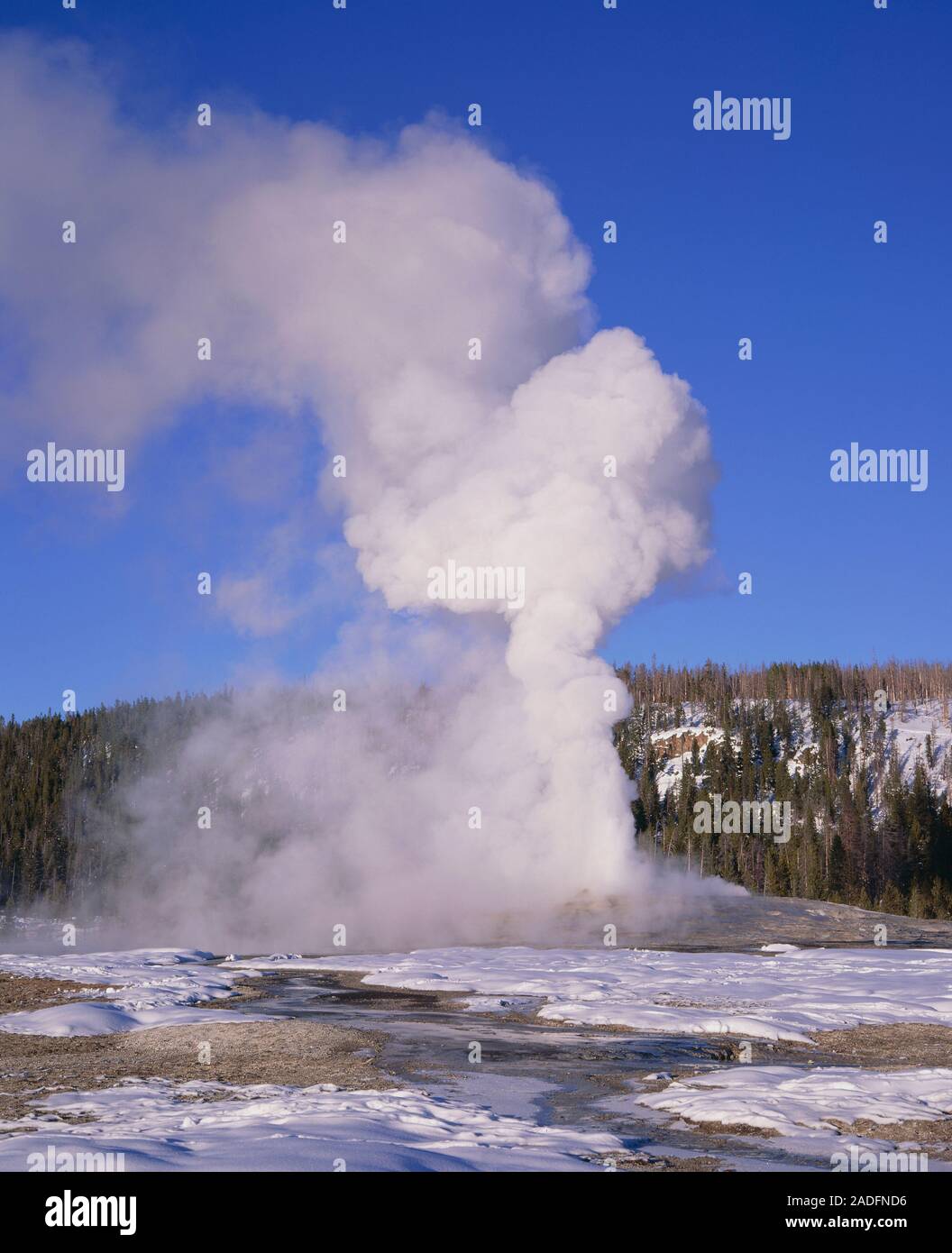 Old Faithful. View of steam rising from the world's most famous geyser ...