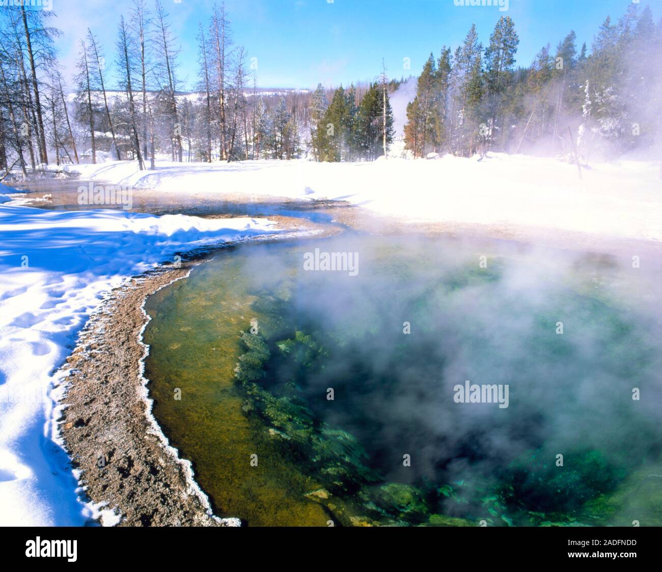 Morning Glory hot spring in winter. Minerals and blue-green algae ...