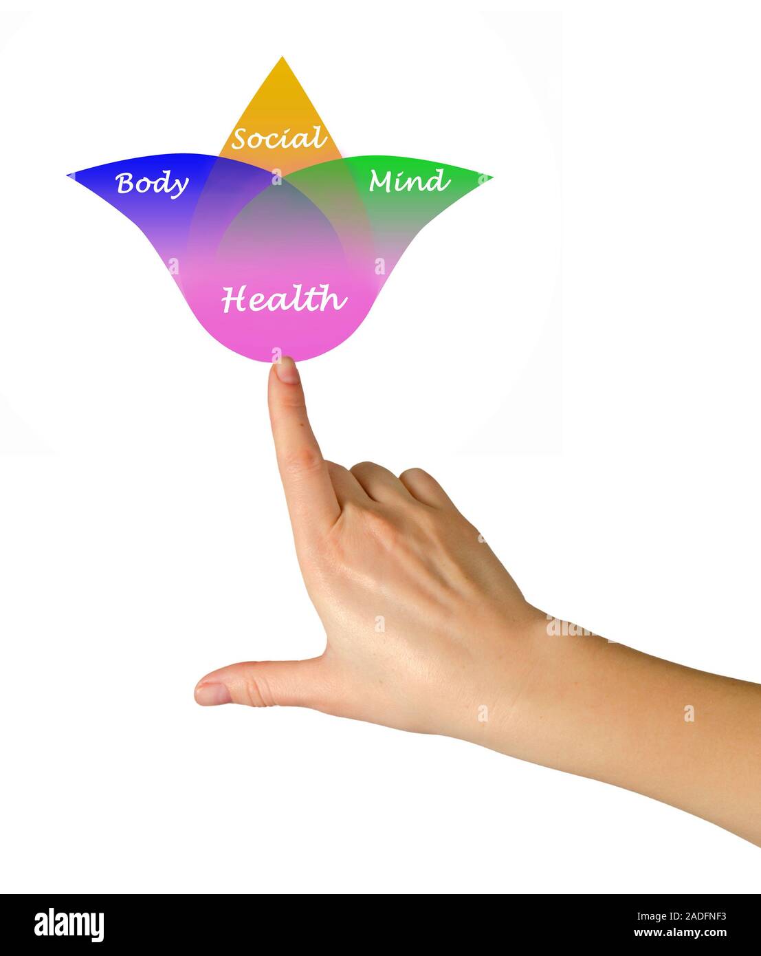 Diagram of health Stock Photo - Alamy