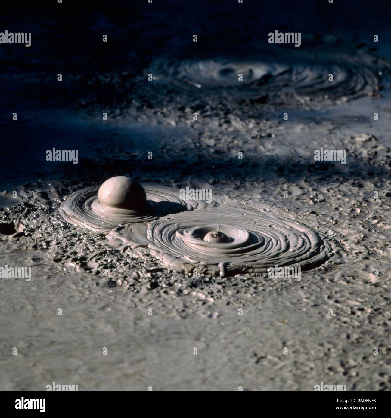Mud pool. Boiling mud pool at a geothermal spring in New Zealand. The ...