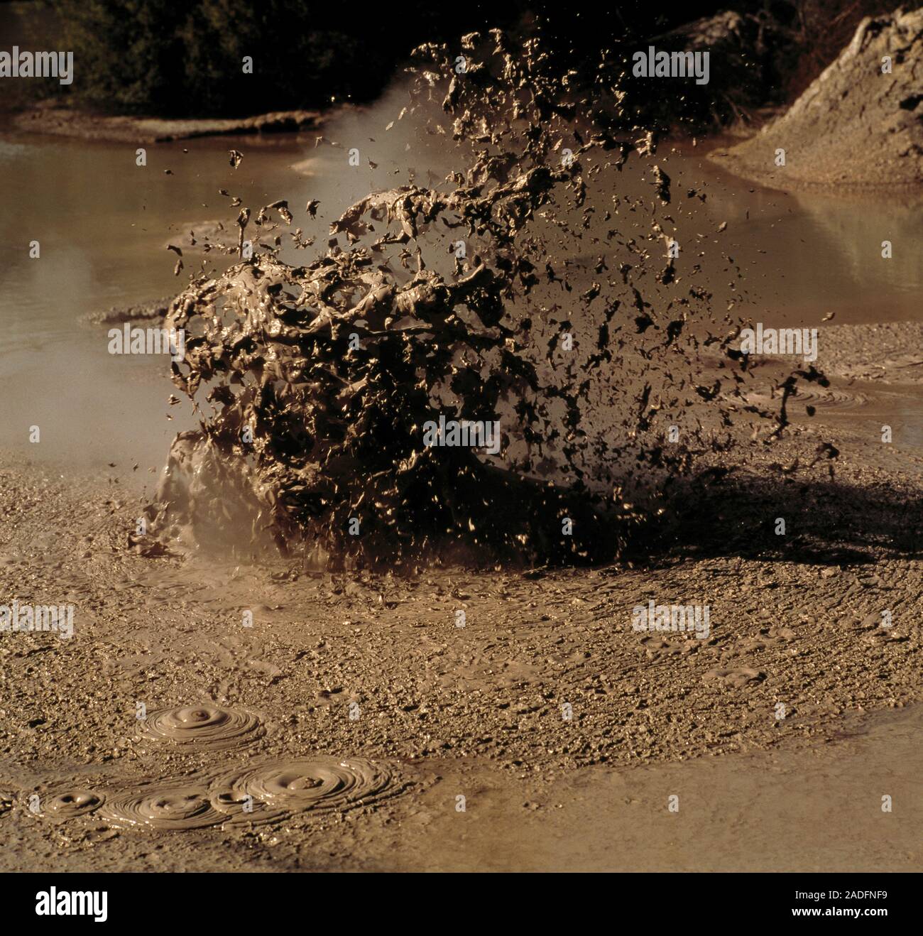 Mud pool. Erupting mud pool at a geothermal spring in New Zealand. The ...