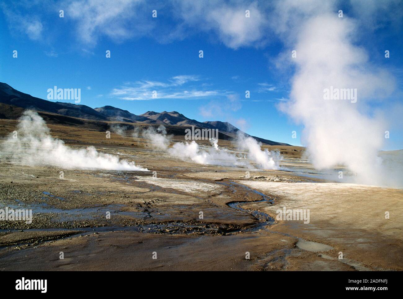 Geyser field. Steam rising from hot pools in the Tatio geyser field ...