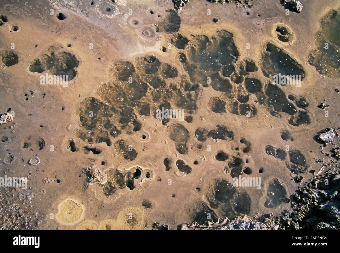 Boiling mud pool at a geothermal spring. This close-up view looking ...