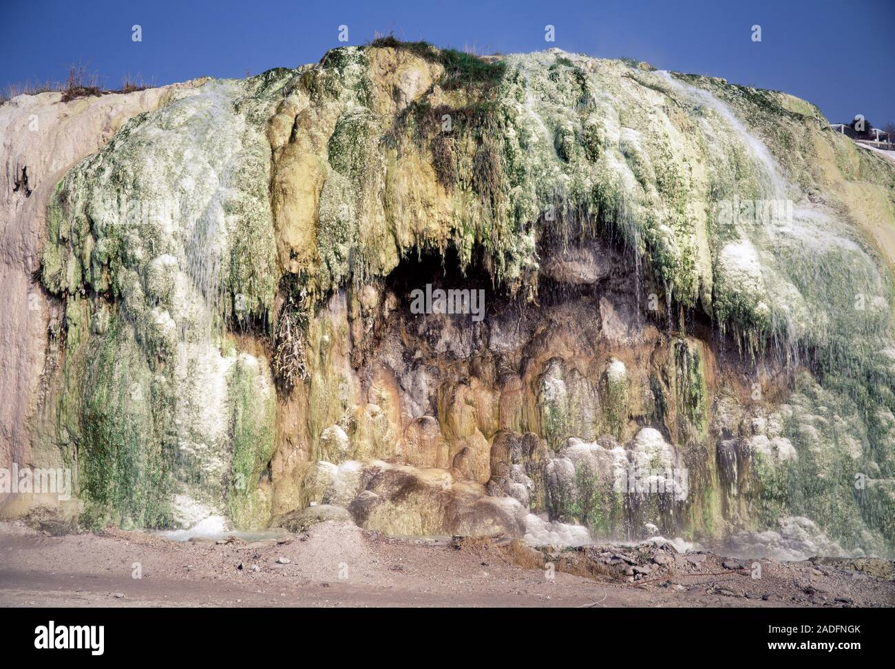 Algae on travertine. Travertine is a mineral that forms on terraces at ...