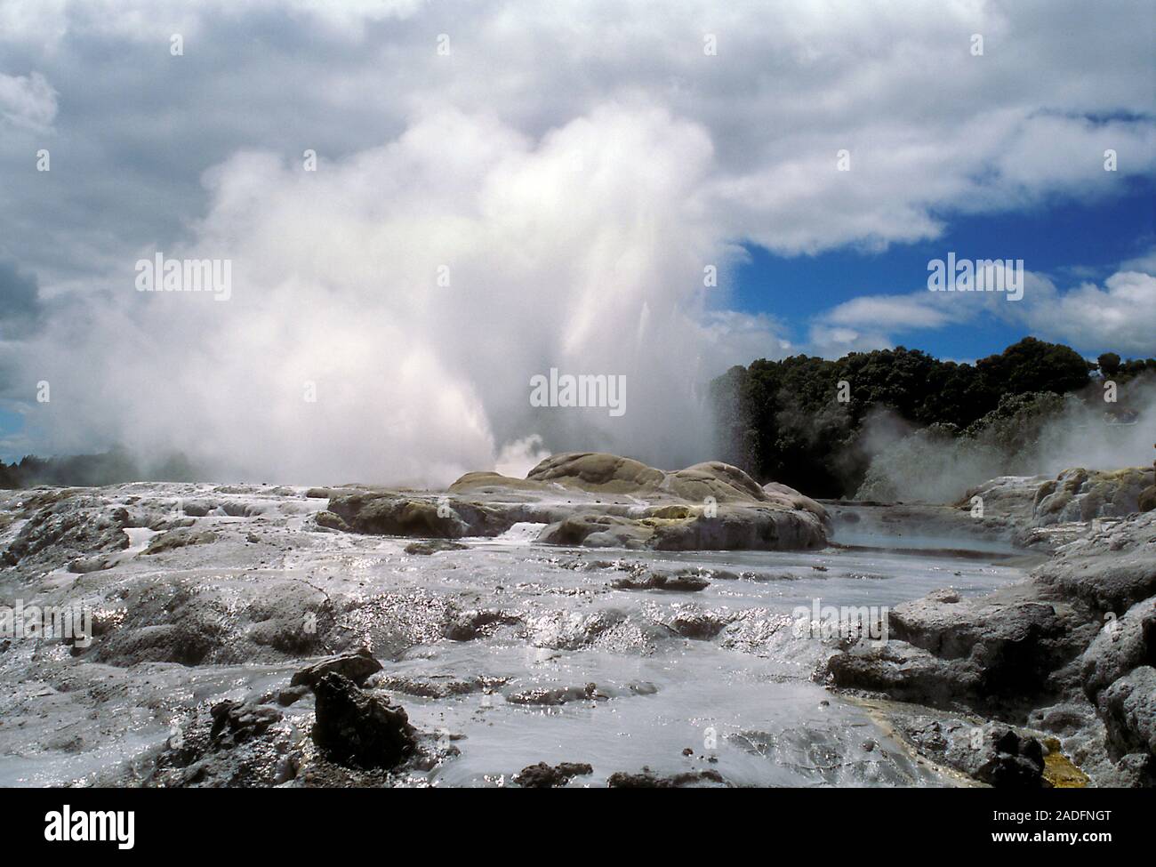 Pohutu geyser, New Zealand. A geyser is a deep natural well in a ...