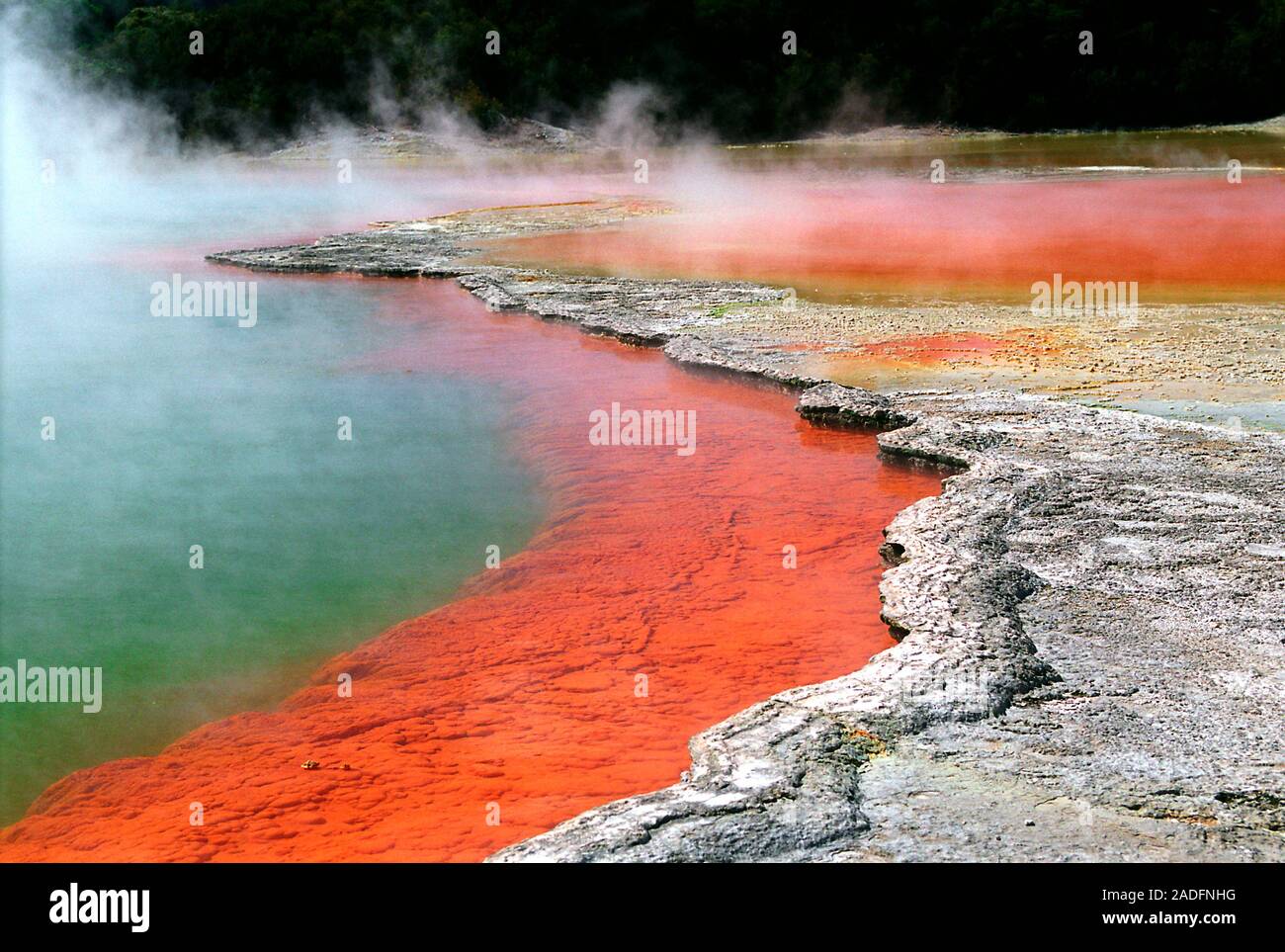 Geothermal pool, New Zealand. Geothermal pools form in areas where ...