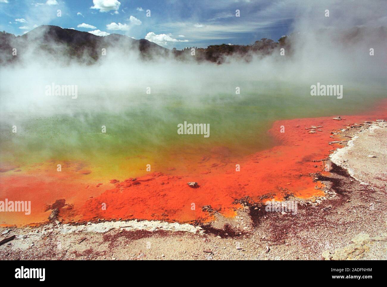 Geothermal pool, New Zealand. Geothermal pools form in areas where ...