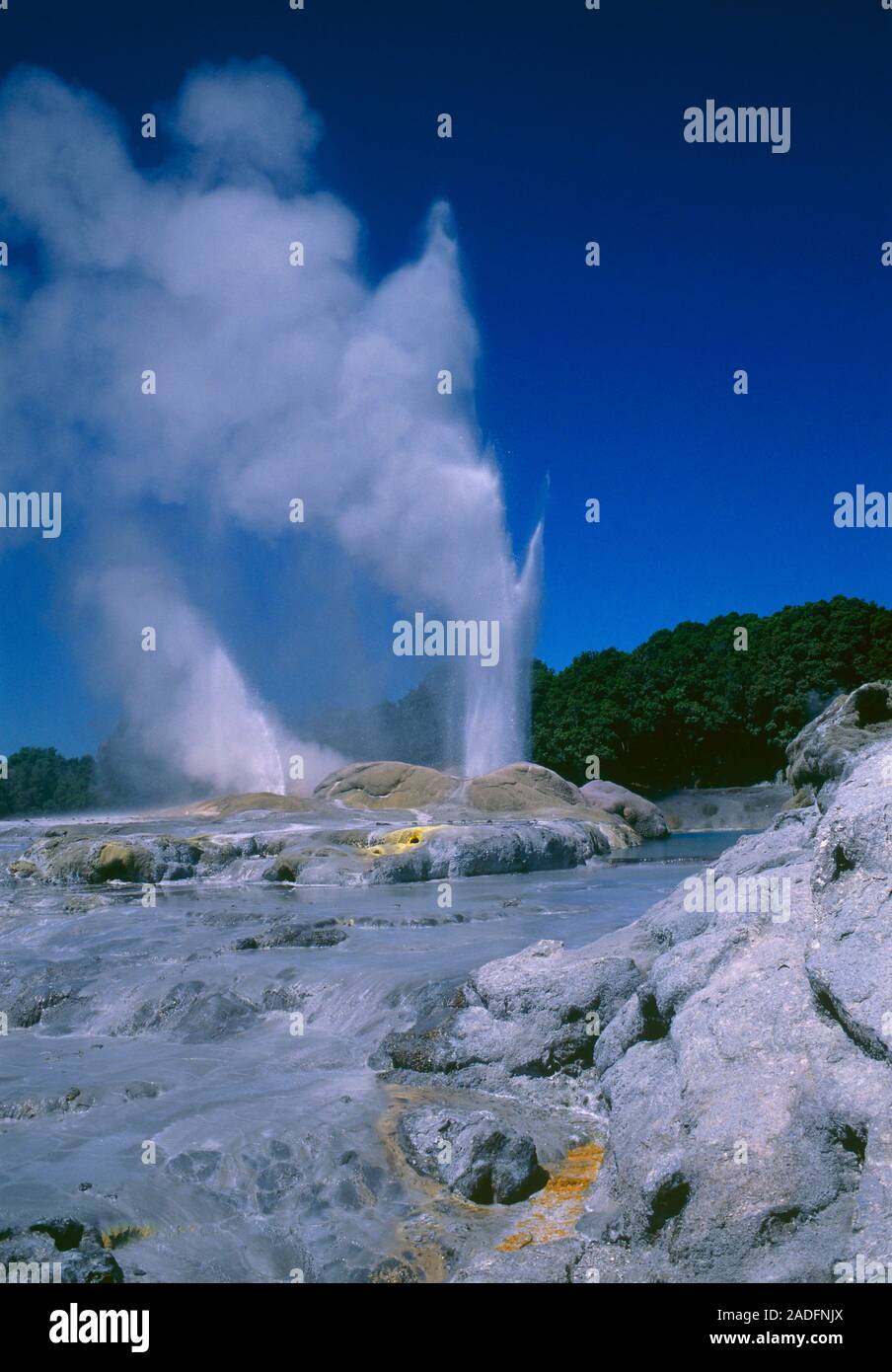 Geysers erupting in a geothermal area. These geysers are the Prince of ...