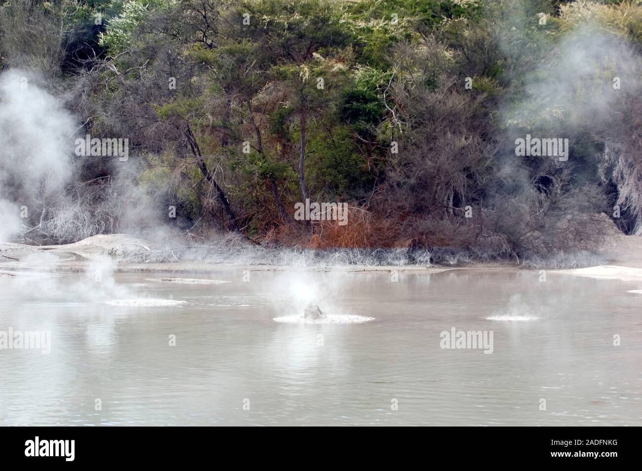 Geothermal mud pool. Eruption of volcanic gases from a mud pool in a ...