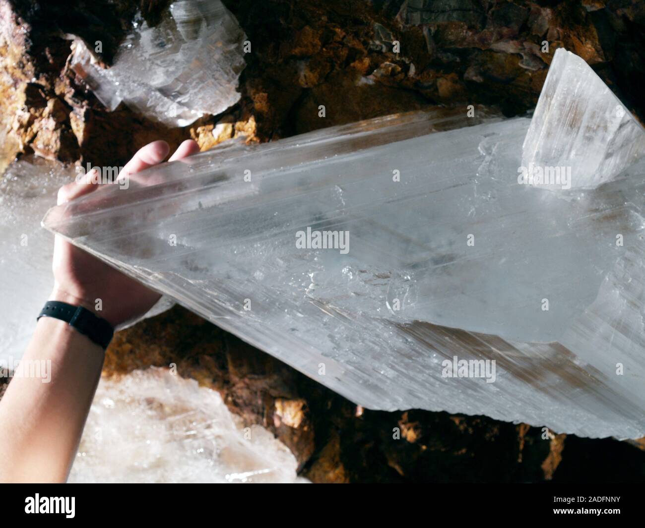Cave of Crystals. Geologist touching a selenite crystal in the Cave of ...