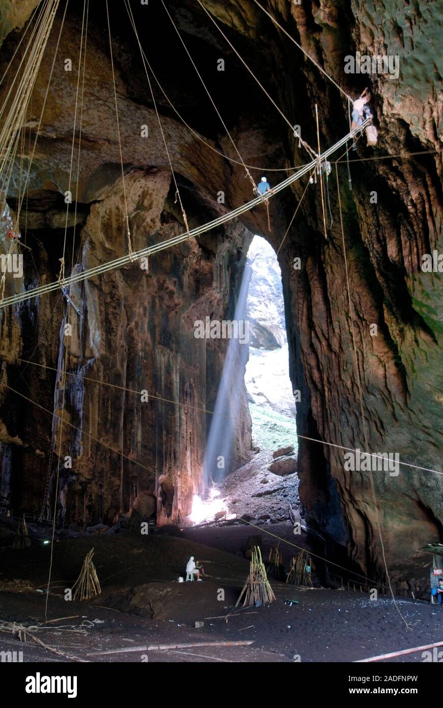 Gomantong Caves, Malaysia. People on an aerial walkway collecting ...