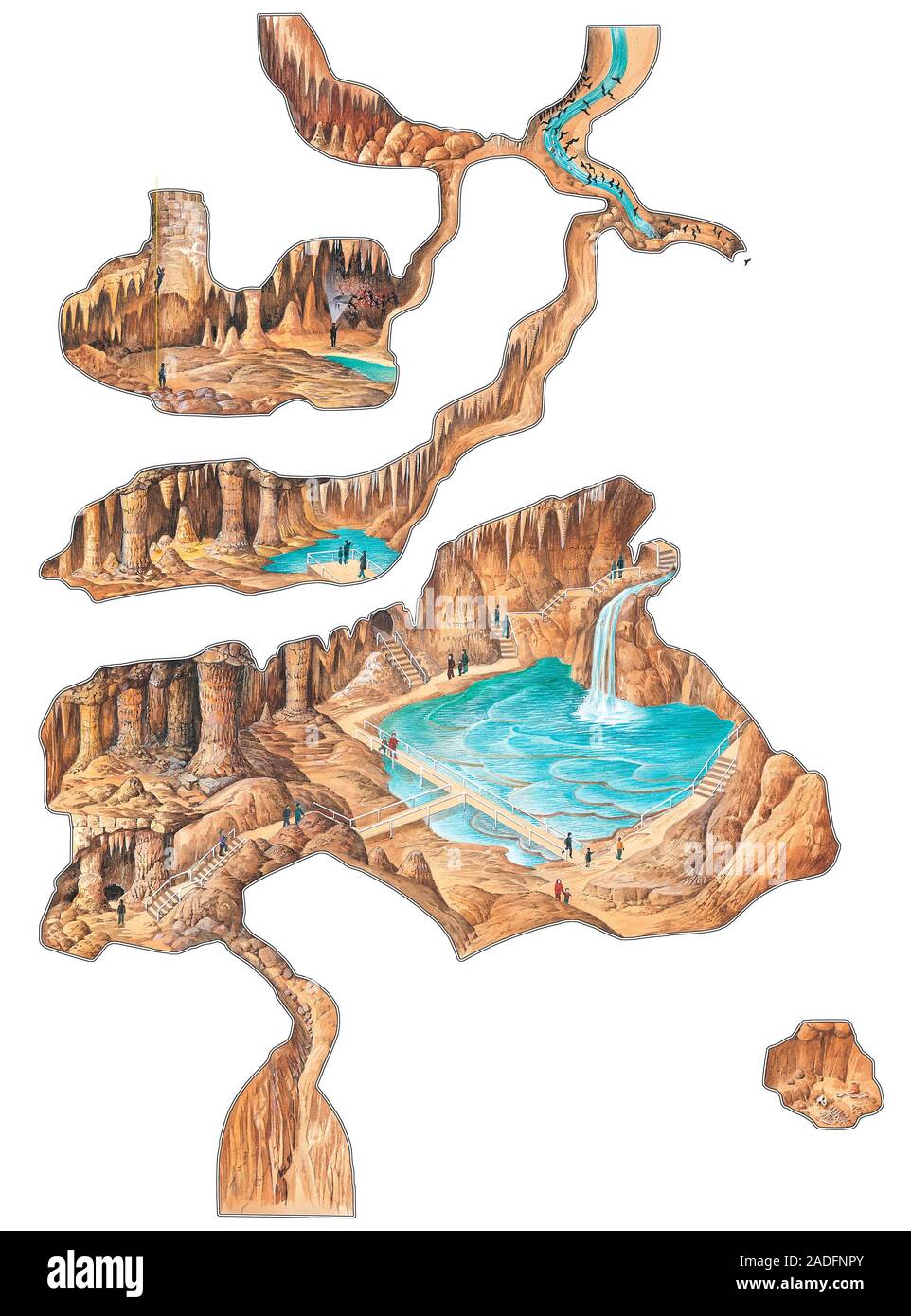 Cave system. Cut-away illustration of visitors in a system of solution ...