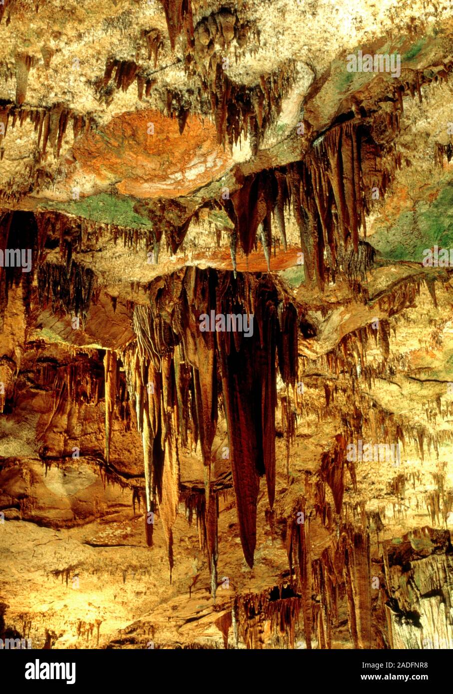 Stalactites. Stalactites hanging from the roof of a limestone cave ...