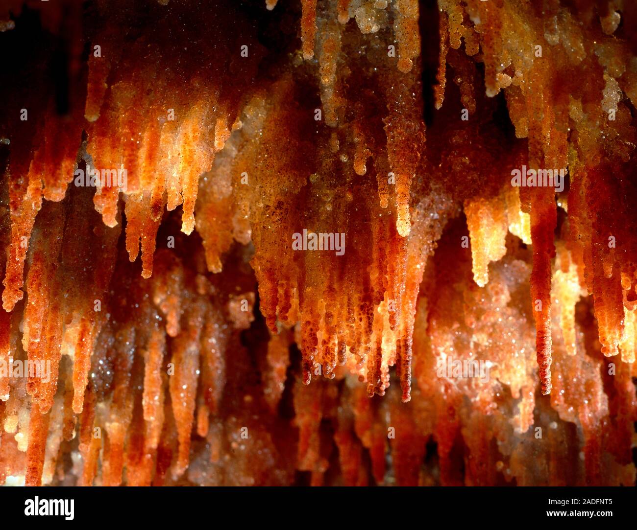 Quartz stalactites hanging down from the ceiling of a cave. These ...
