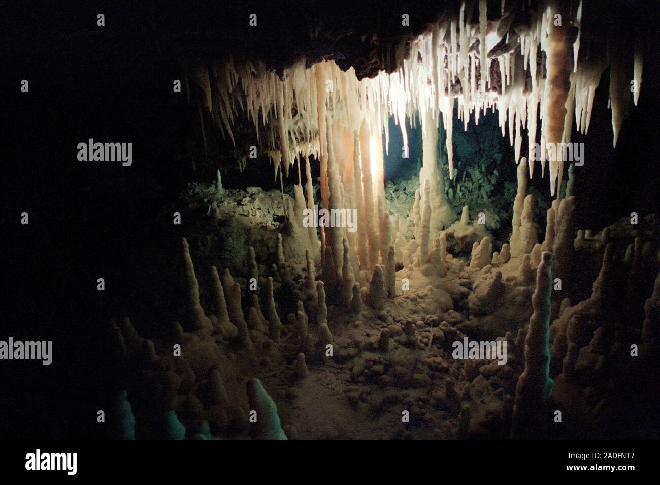 Underwater cave. Stalagmites and stalactites in an underwater cave ...