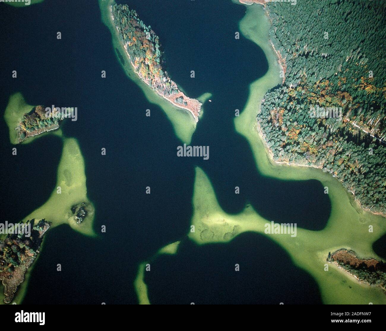 Forested kettle lake. Aerial view of a kettle lake with forested ...