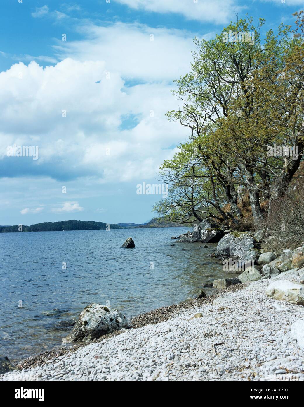 Loch Morar, Scotalnd. At a maximum depth of 310 metres, Loch Morar is ...