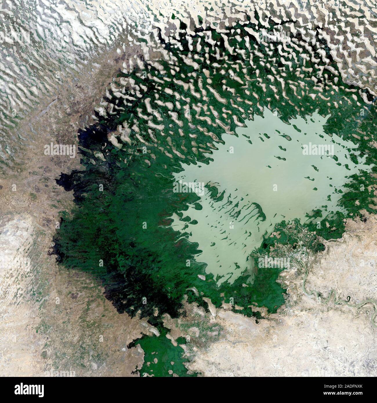 Lake Chad, satellite image. Lake Chad is the fourth largest lake in ...