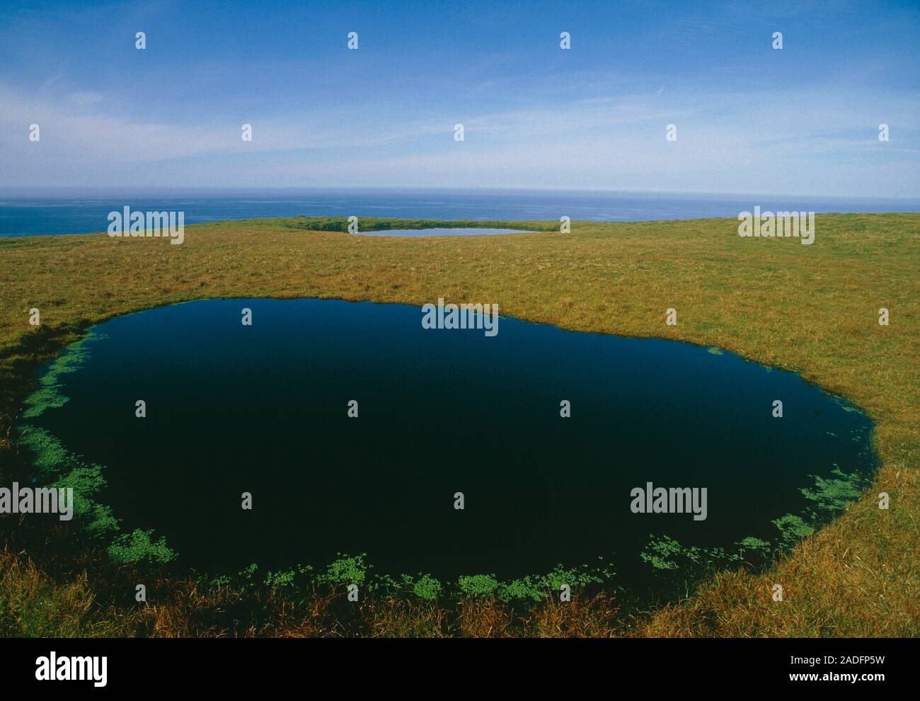 Pool of water on peat moorland, Handa Island, Scotland. Beyond this ...