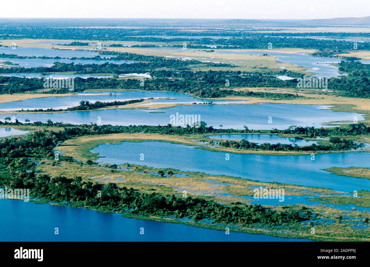 Pantanal wetland, Brazil, aerial photograph. The Pantanal is the ...