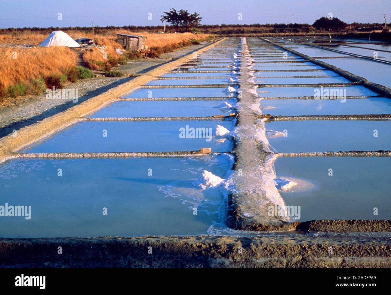 Salt pans. Water evaporates from these shallow pools leaving a residue ...