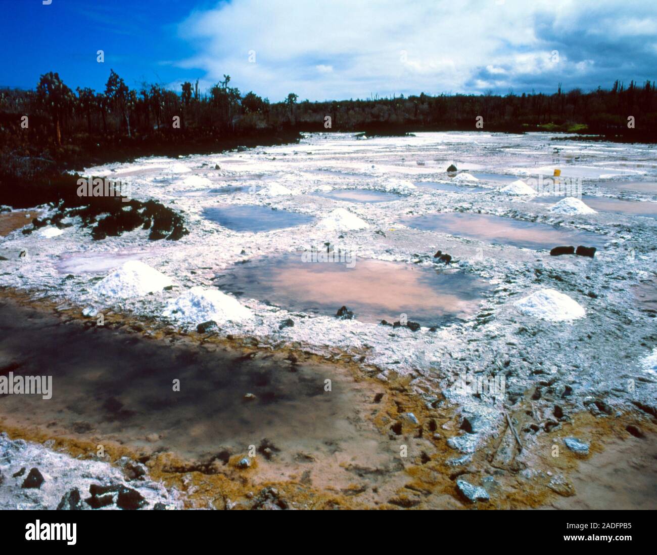 Salt extraction. View of salt pans filled with sea water besides piles ...