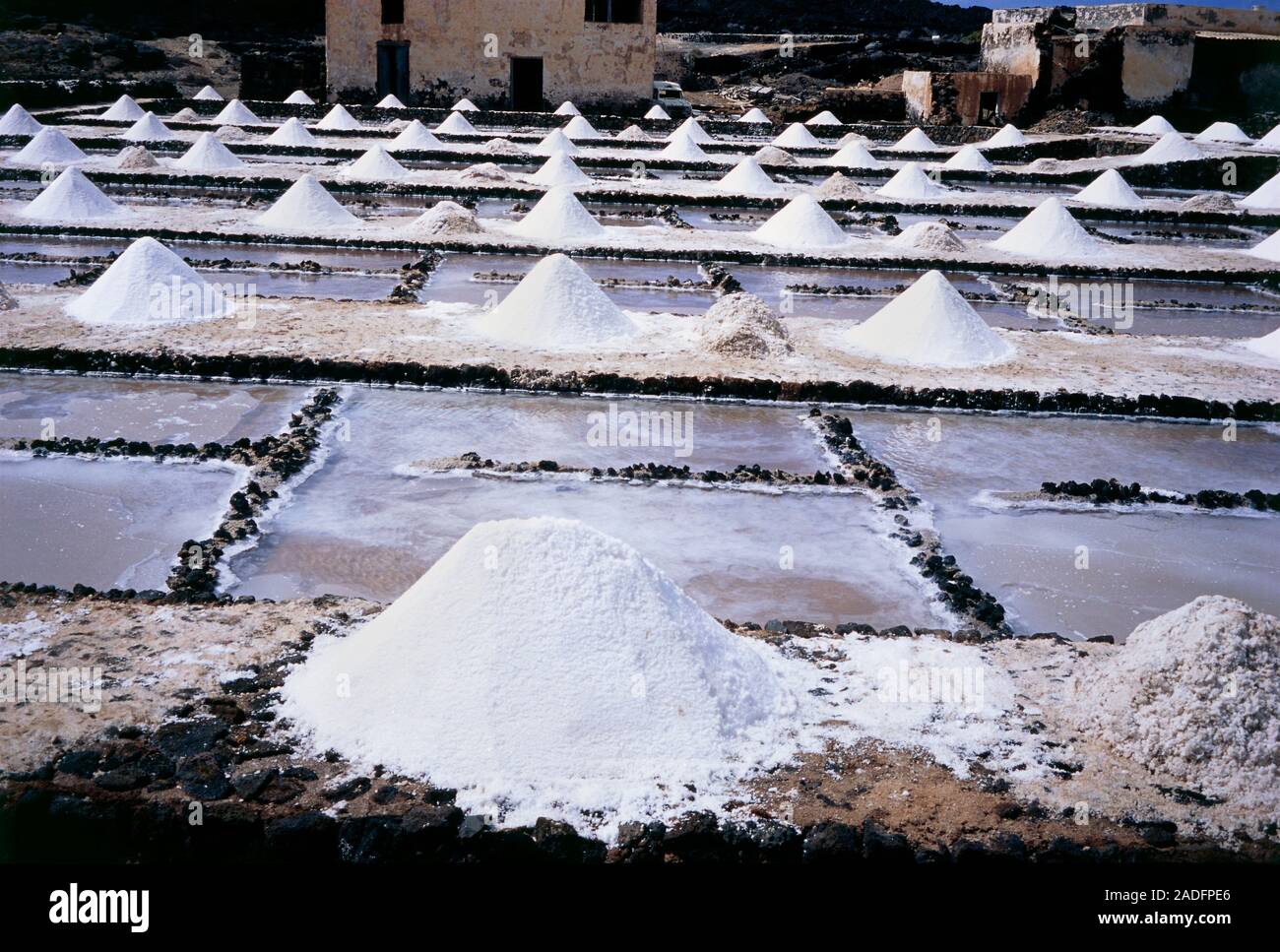 Salt pans. Piles of extracted salt next to salt pans. Salt pans are ...
