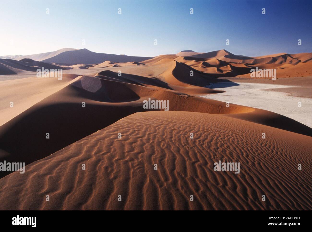 Sand dunes. These hills of loose sand are formed by winds blowing ...