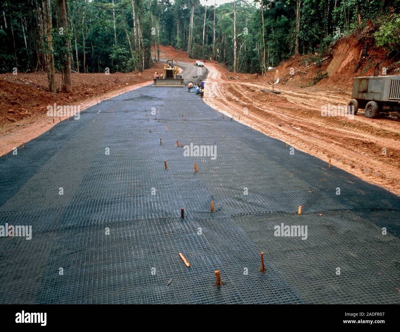 Road construction through the Amazon rainforest in Ecuador. This road ...