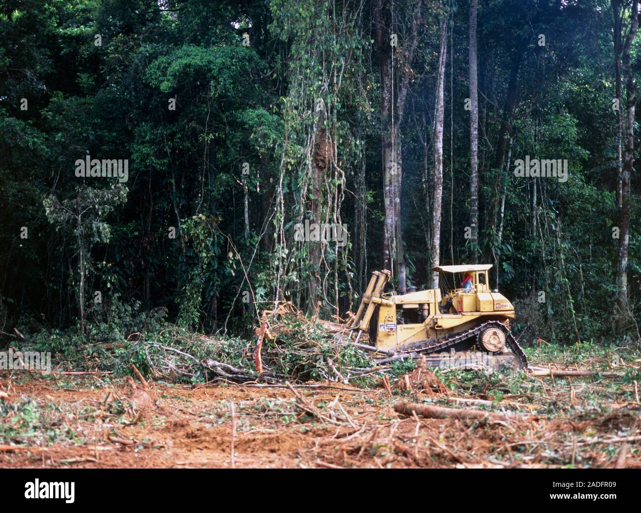 Cleared rainforest. View of a tractor clearing the forest floor of ...