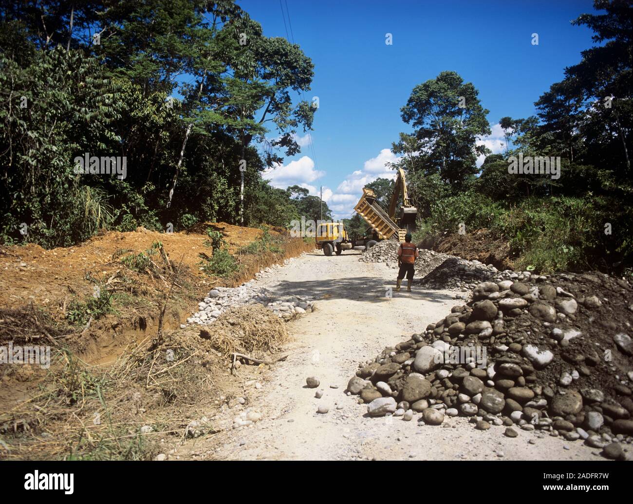 Road construction through the Amazon rainforest, Ecuador Stock Photo ...