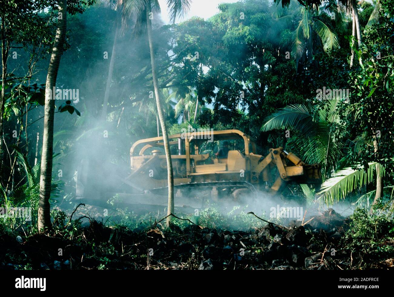 Bulldozing Wao Kele o Puna rainforest, on the slopes of Kilauea volcano, in the Hawaii Volcanoes ...